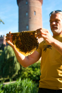 Interview mit dem Imker Marco Janßen aus Bedburg-Hau